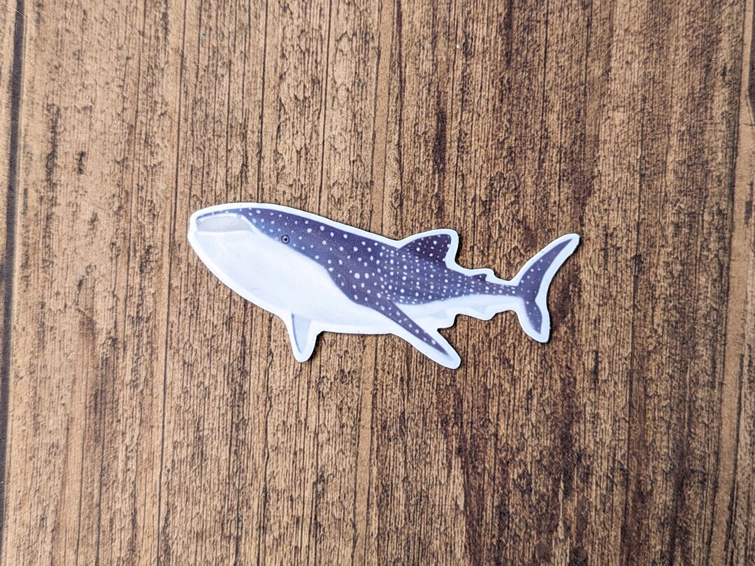 Whale Shark Vinyl Sticker - Water Resistant Laptop and Bottle Decal - Etsy