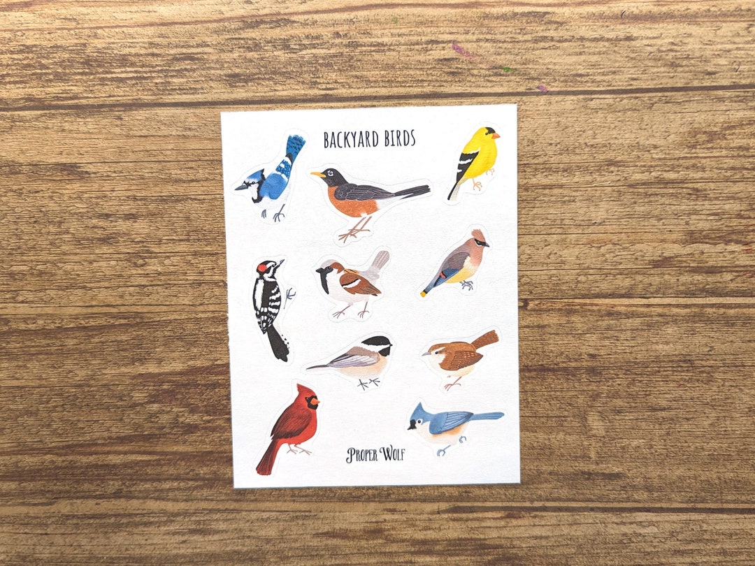 Backyard Birds - Songbird Sticker Sheet for Birdwatching Journals and ...
