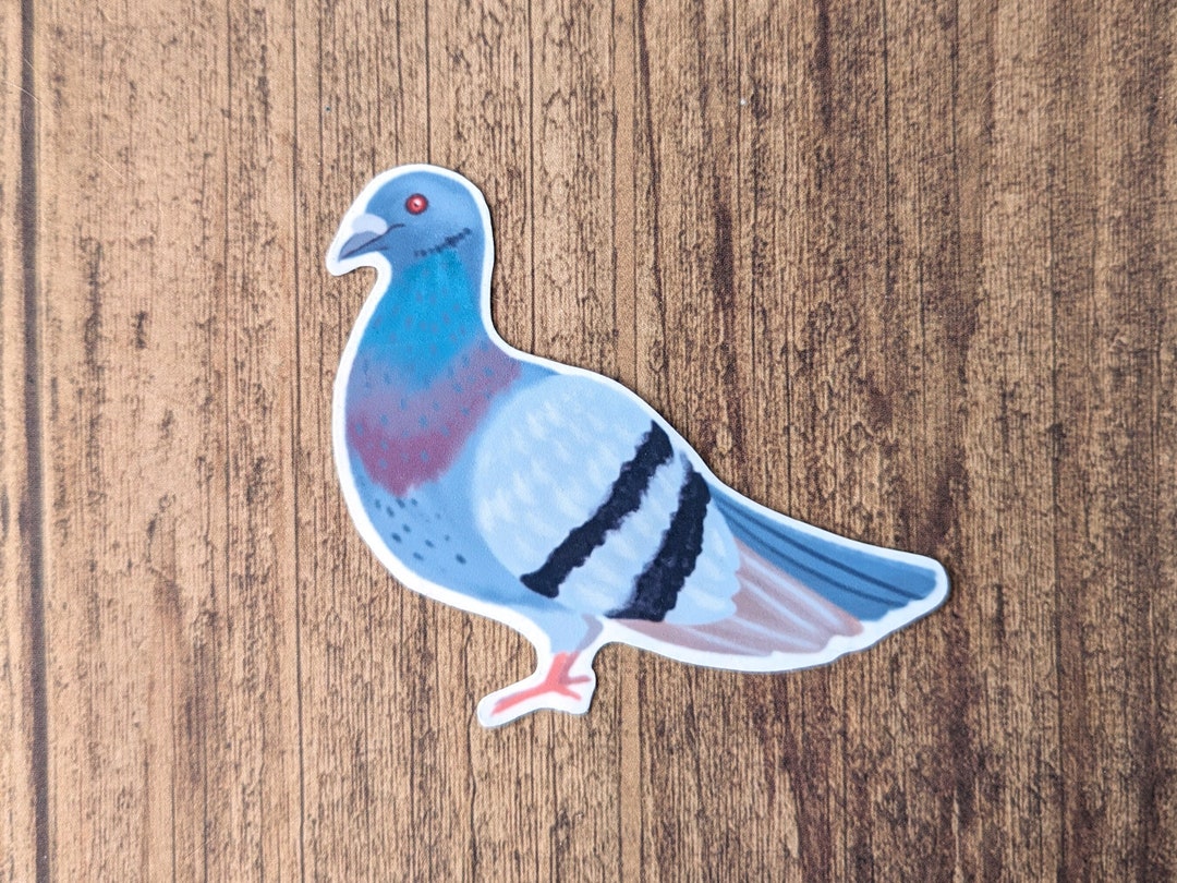 Rock Pigeon Vinyl Sticker - Water Resistant Laptop Decal - Etsy