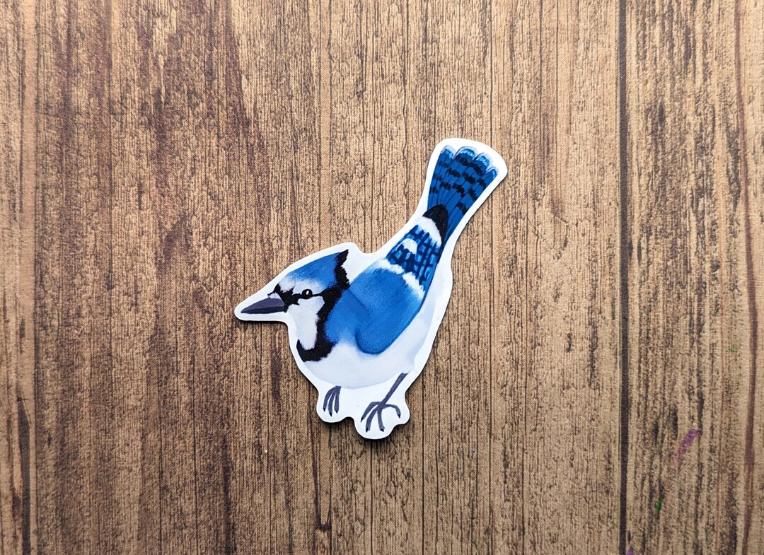 Blue Jay Vinyl Sticker - Water Resistant Laptop Decal - Etsy