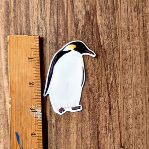 Emperor Penguin Vinyl Sticker - Water Resistant Laptop Decal - Etsy