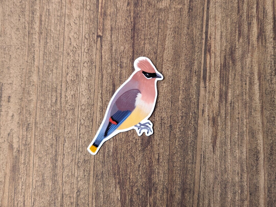 Cedar Waxwing Vinyl Sticker - Water Resistant Laptop Decal - Etsy