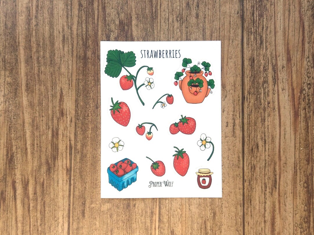 Strawberry Sticker Sheet Berry Garden Stickers Set for - Etsy