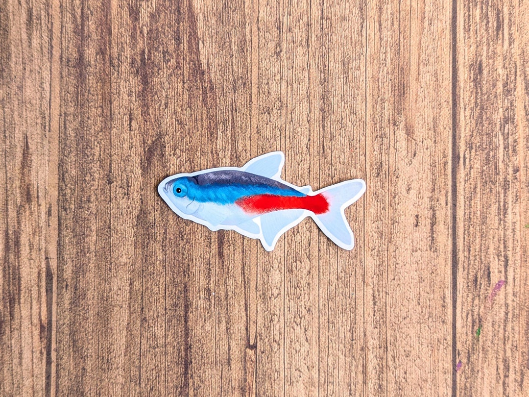 Neon Tetra Vinyl Sticker - Water Resistant Fish Decal - Etsy