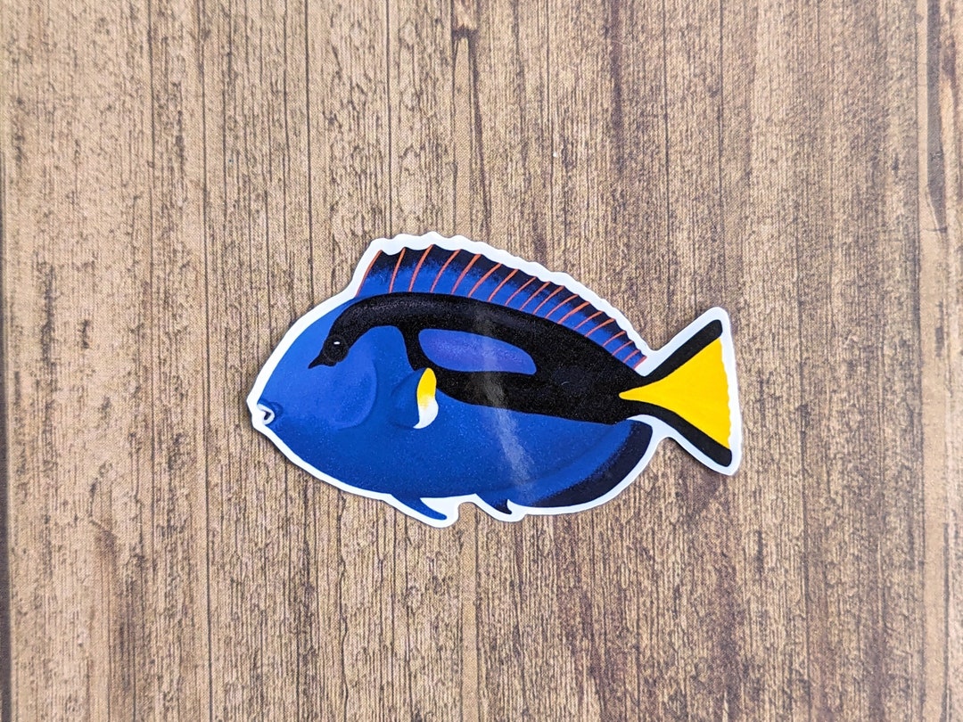 Blue Tang Fish Vinyl Sticker - Water Resistant Laptop and Water Bottle ...