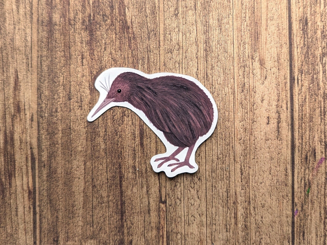 Kiwi Bird Vinyl Sticker - Water Resistant Decal - Etsy