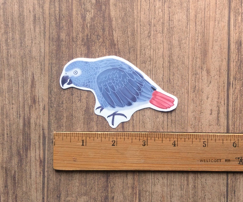 African Grey Parrot Vinyl Sticker Cute Bird Decal for Water - Etsy