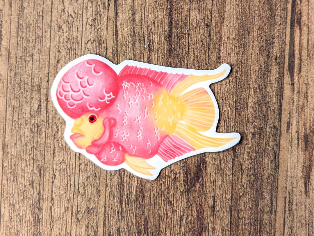 Flowerhorn Cichlid Vinyl Sticker - Water Resistant Fish Laptop and ...