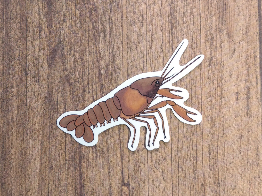 Crayfish Vinyl Sticker - Water Resistant Crawfish Laptop and Water ...