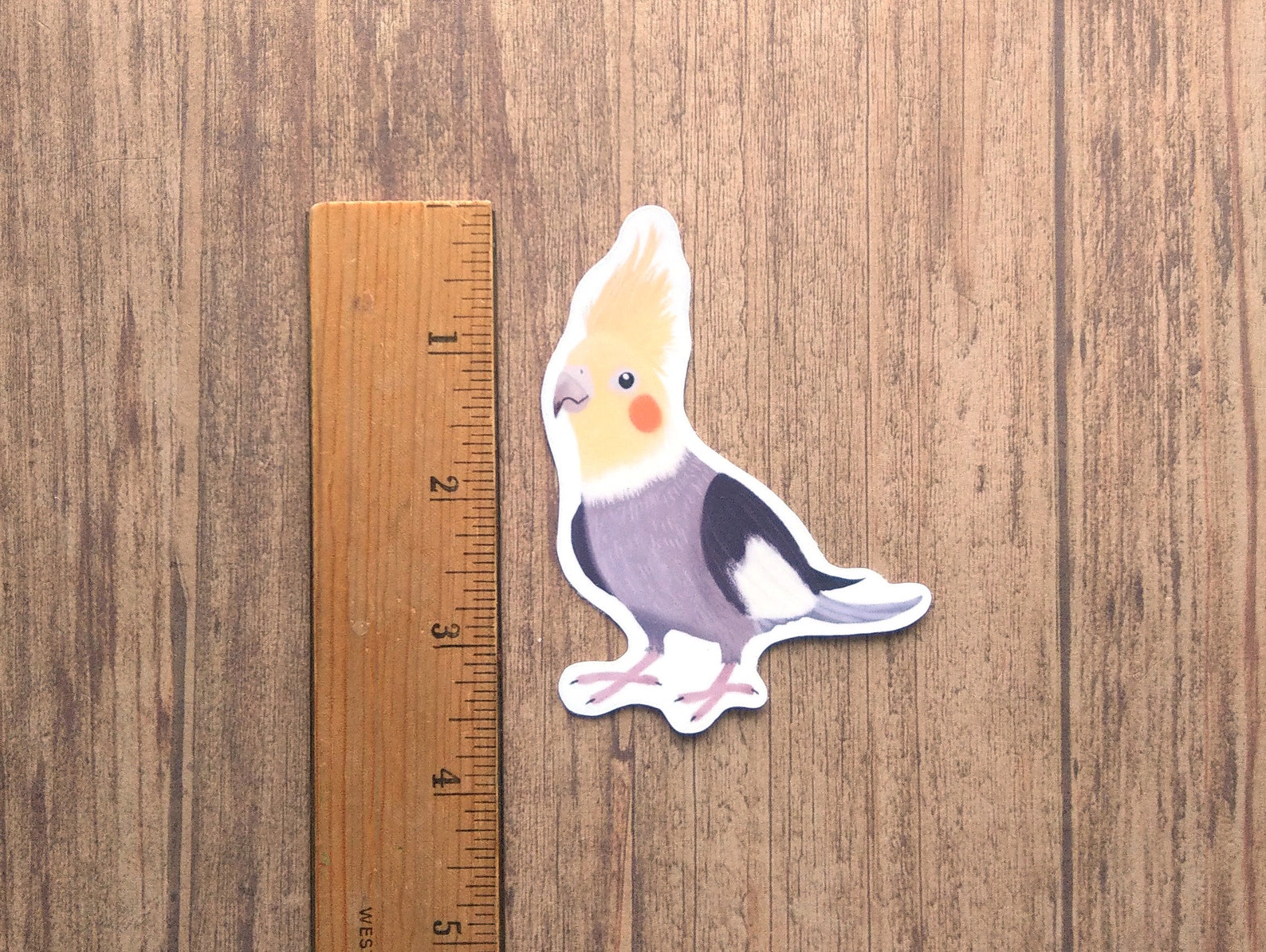 Cockatiel Vinyl Sticker Cute Bird Decal for Water Bottle or - Etsy