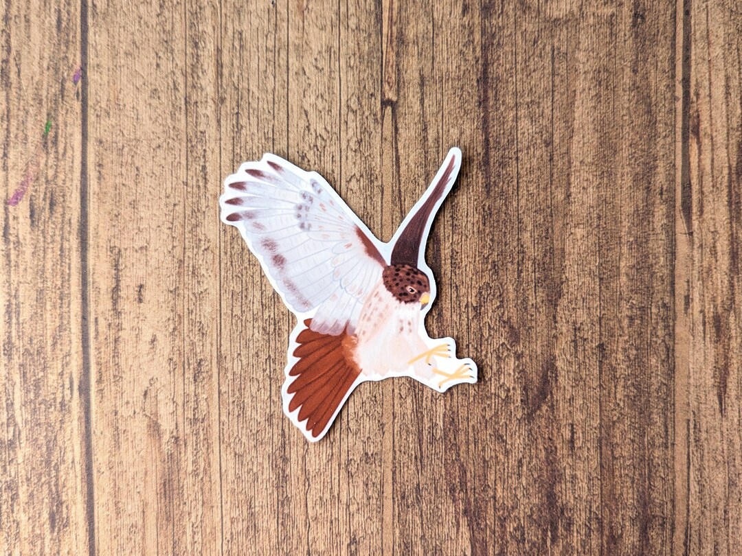 Red Tailed Hawk Vinyl Sticker - Water Resistant Laptop Decal - Etsy