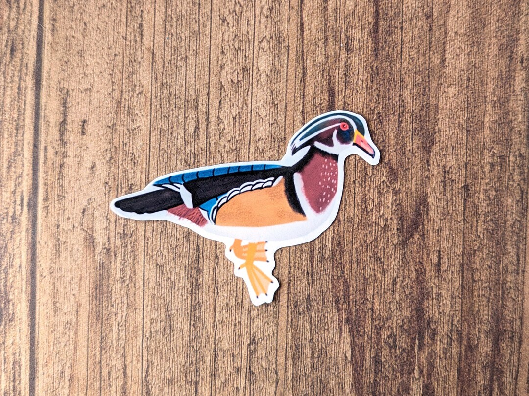 Wood Duck Vinyl Sticker - Water Resistant Laptop Decal - Etsy