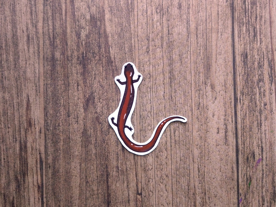 Red-backed Salamander Vinyl Sticker - Water Resistant Laptop and Bottle ...
