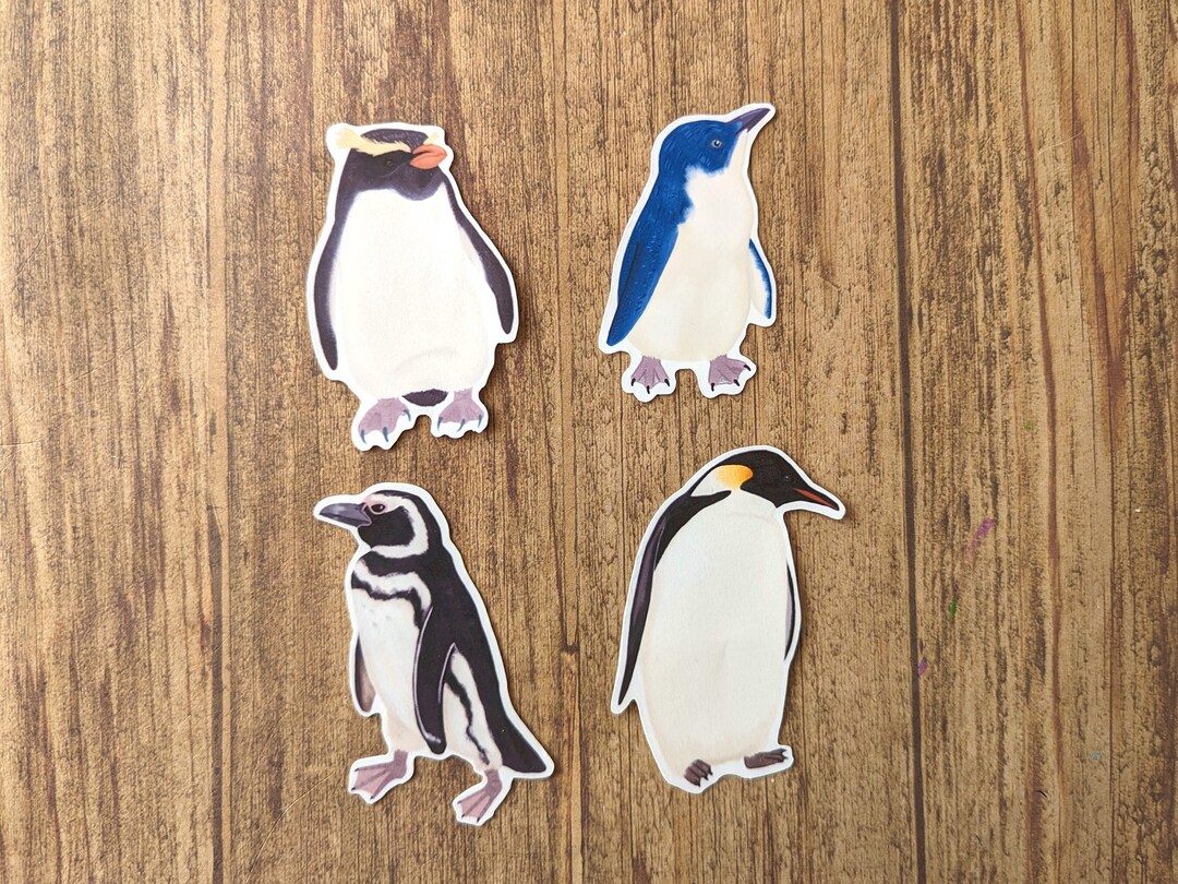 Penguin Vinyl Sticker Pack - Laptop Decals - Etsy