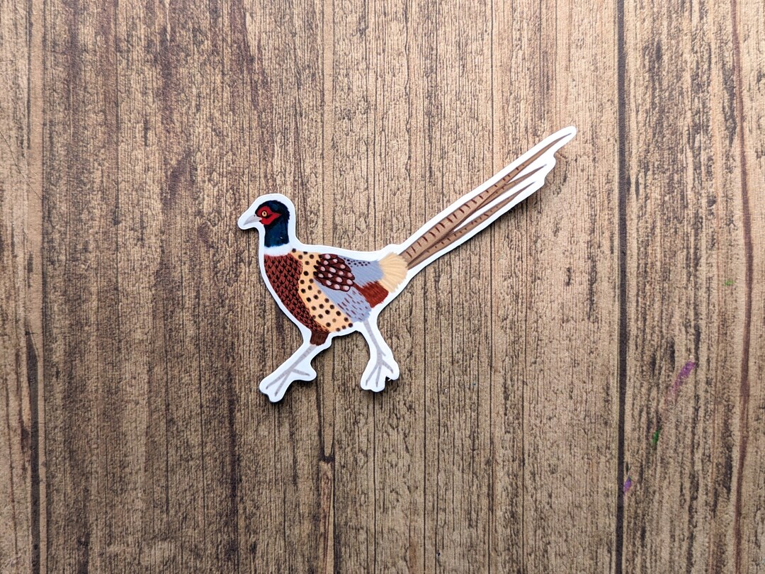 Ring Necked Pheasant Vinyl Sticker - Water Resistant Laptop Decal - Etsy