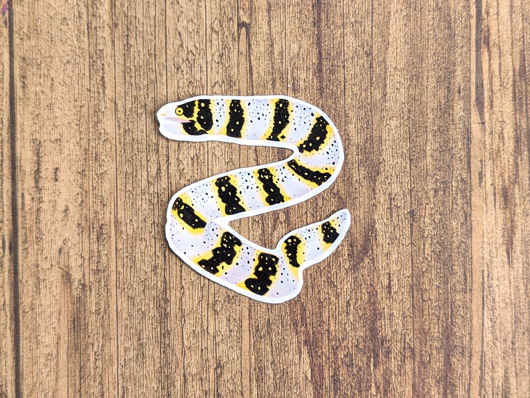 Snowflake Moray Eel Vinyl Sticker - Water Resistant Fish Laptop and ...