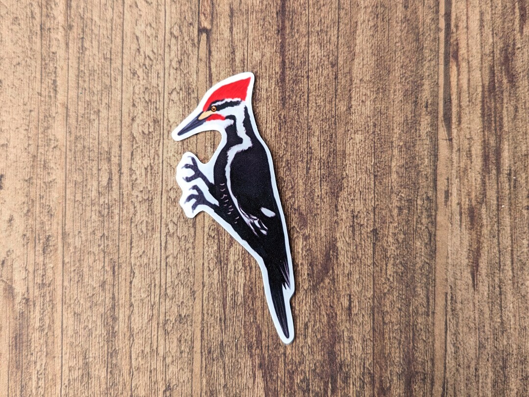 Pileated Woodpecker Vinyl Sticker - Water Resistant Laptop Decal - Etsy