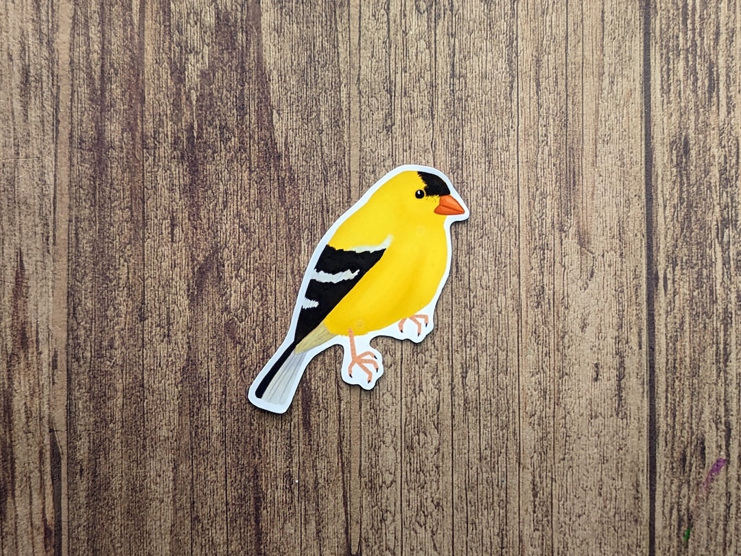 American Goldfinch Vinyl Sticker - Water Resistant Laptop Decal - Etsy