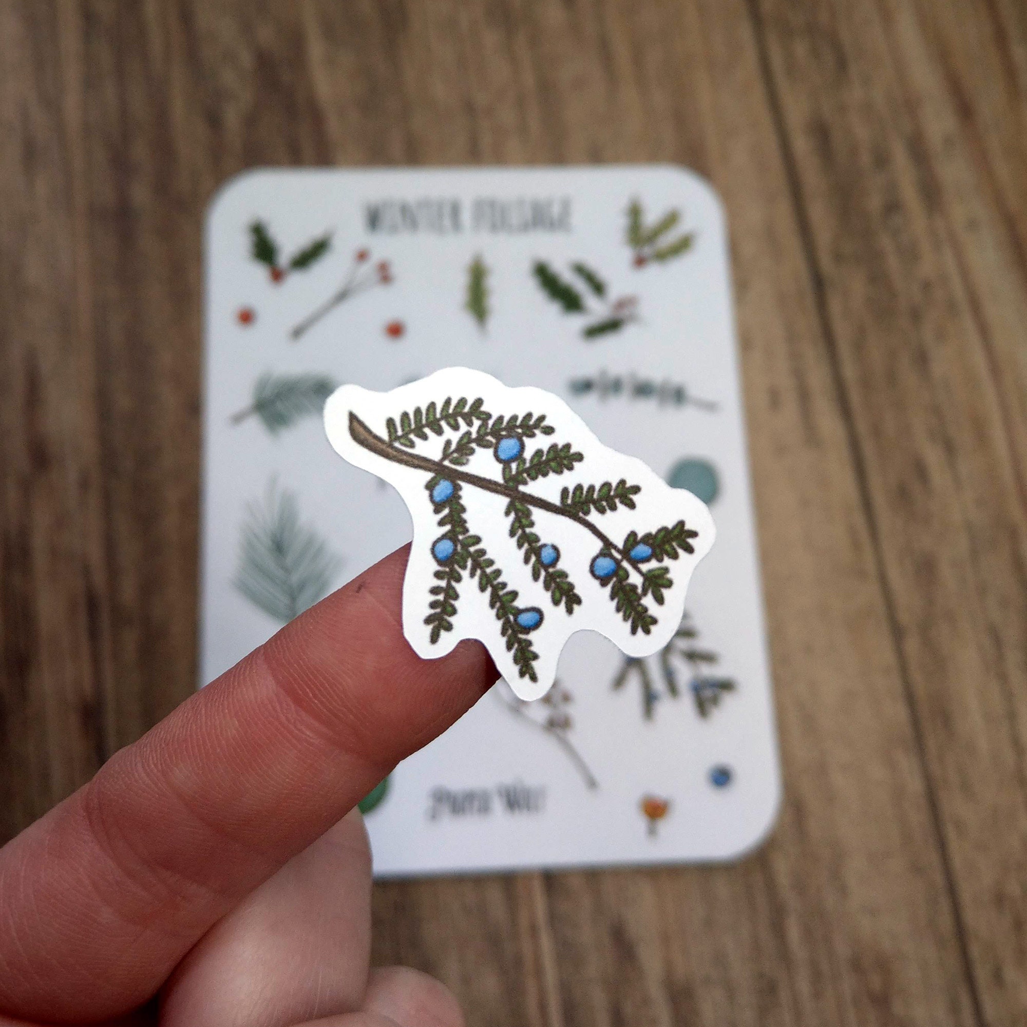 Winter Foliage Sticker Sheet - Nature Stickers Set for Planners and ...