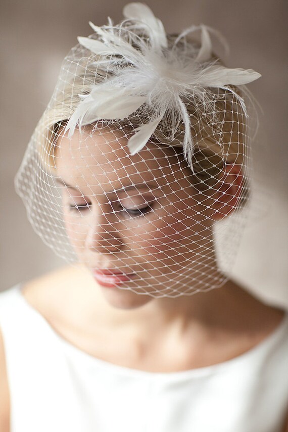 Feather Birdcage Veil