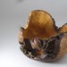 Natural Edge Willow Burl - Etsy