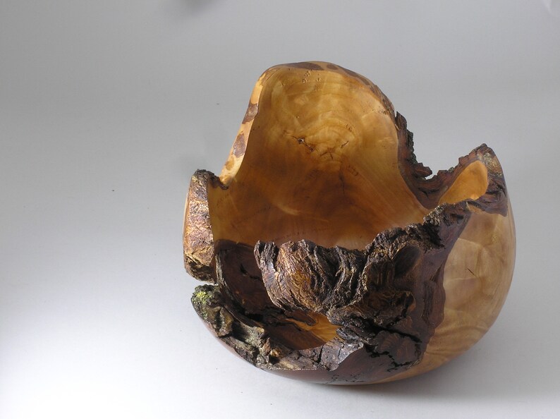 Natural Edge Willow Burl - Etsy