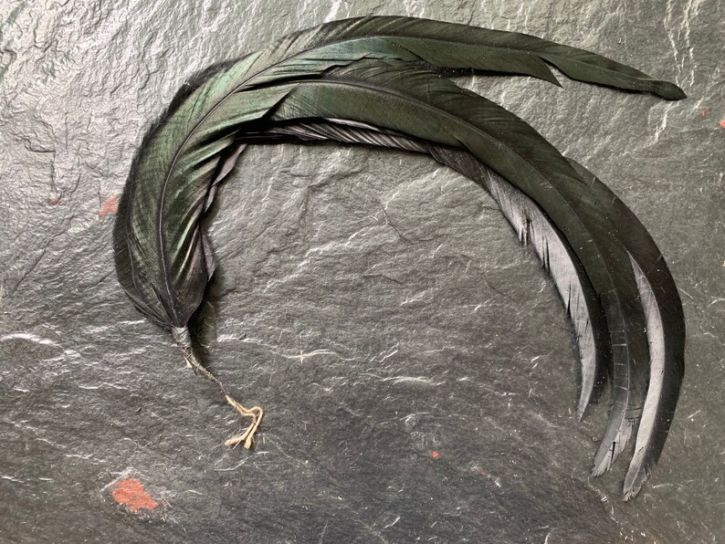 Antique Vintage Pair Millinery Feather Bouquets // 17" Long Curved ...