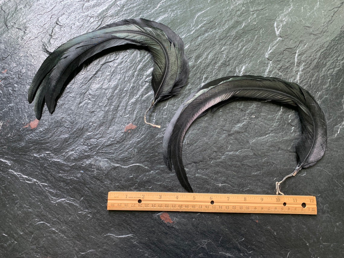 Antique Vintage Pair Millinery Feather Bouquets // 17" Long Curved ...