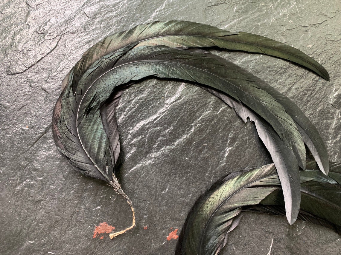 Antique Vintage Pair Millinery Feather Bouquets // 17" Long Curved ...