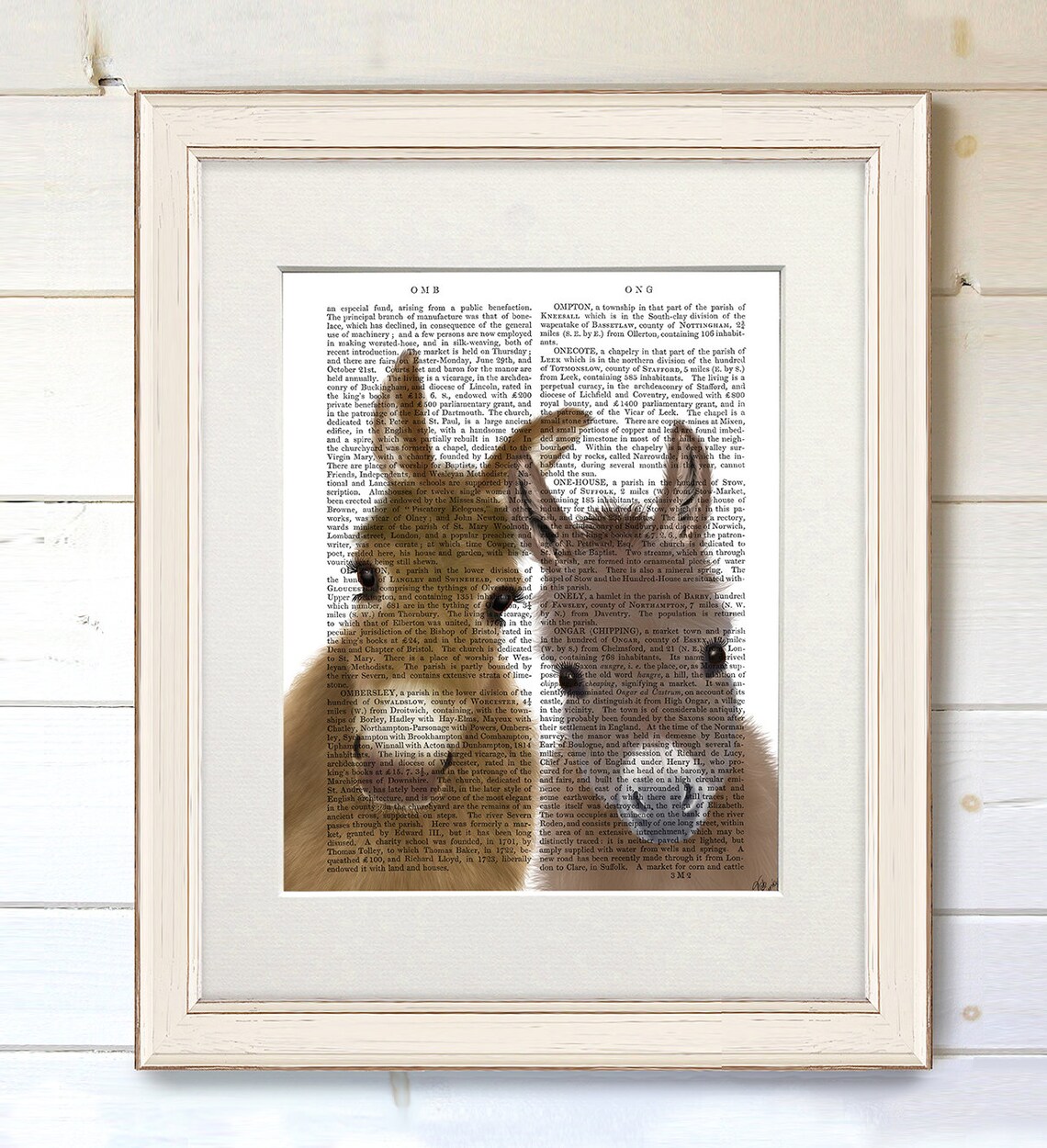 Donkey lover gift Donkey duo looking at you Donkey print | Etsy