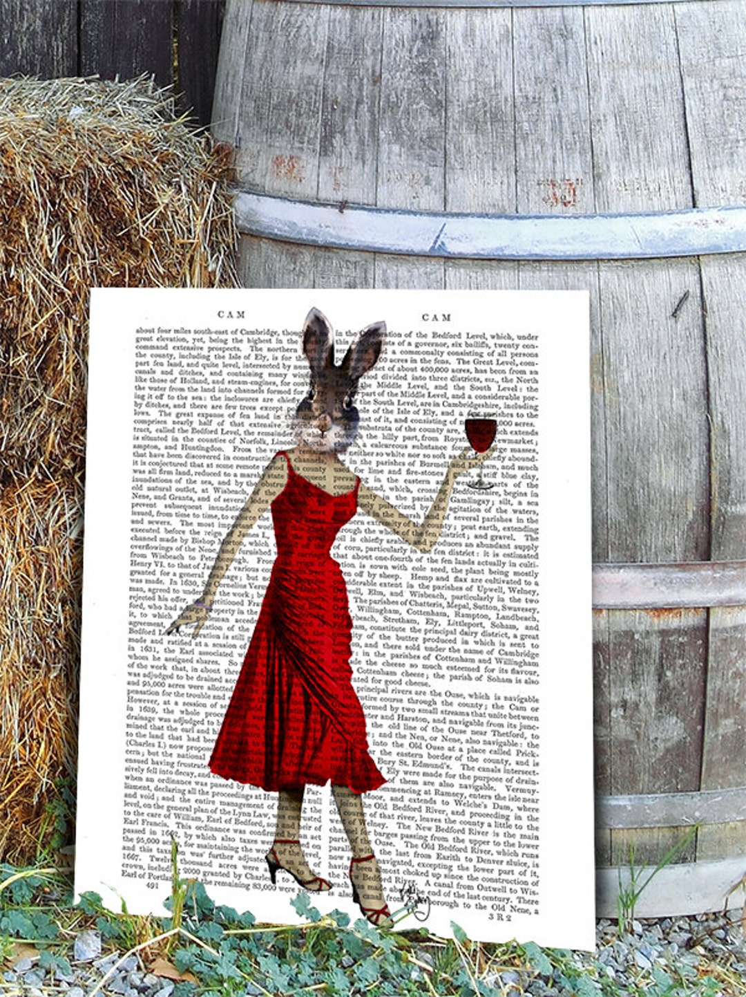 Rabbit Print - Rabbit in Red Dress - Rabbit Art Modern Nursery Art for ...
