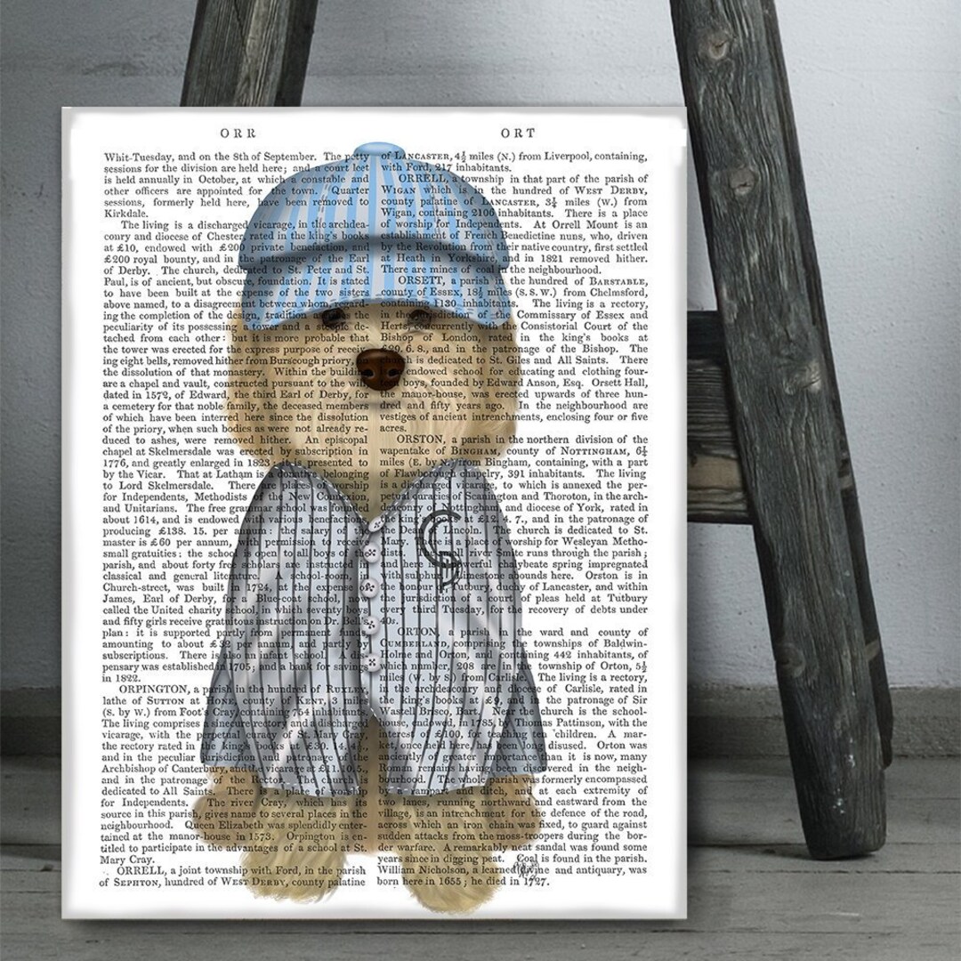 Baseball Fan Gift - Cockerpoo Baseball Dog - Cocker Print Baby Boy ...