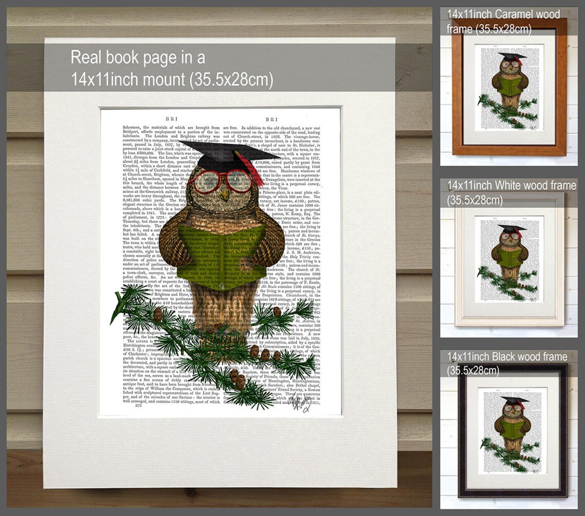 Owl Art Owl in Tree Owl Wall Art Owl Illustration Teacher - Etsy