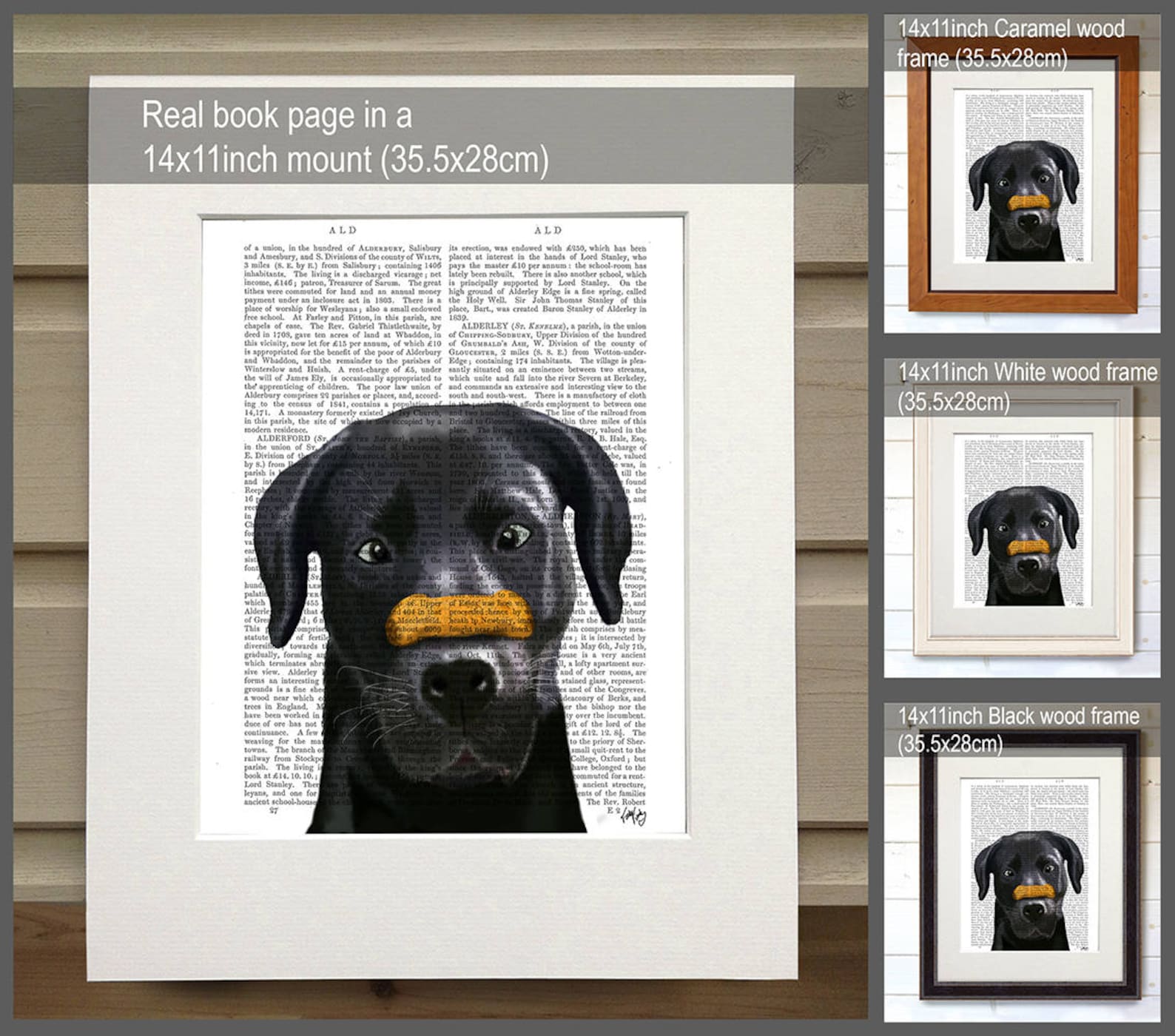 Black Labrador Print Bone on Nose black lab art black lab | Etsy