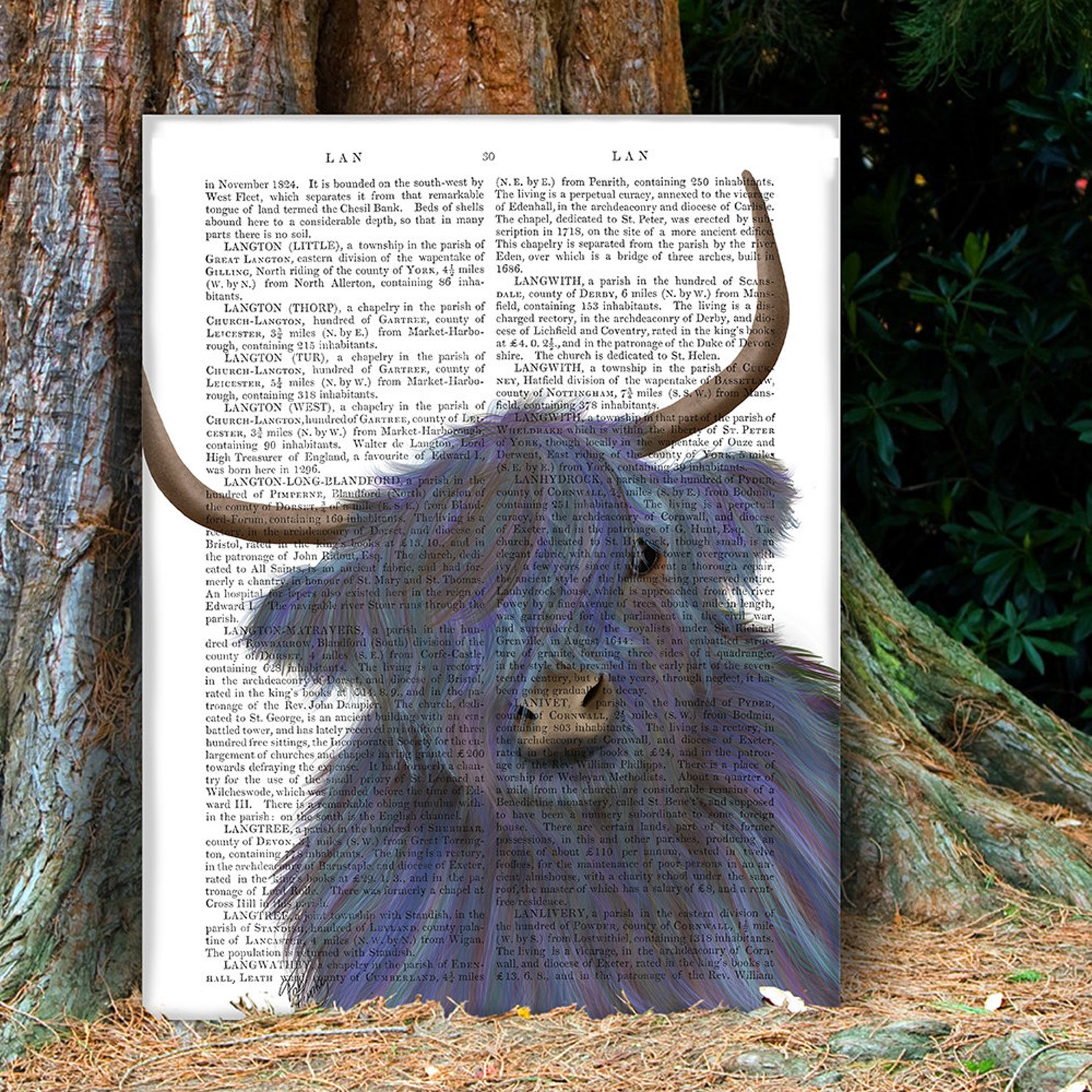 Highland Cow Print, Hyland Yak Art, Ranch Decor, Farm Animal Art, Yak ...