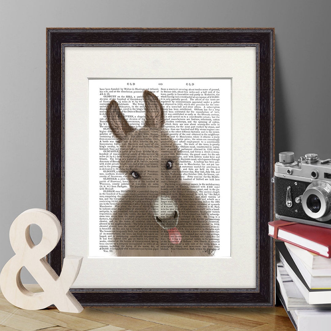 Donkey Canvas - Funny Farm Donkey 2 - Donkey Wall Art Donkey Poster Ass ...