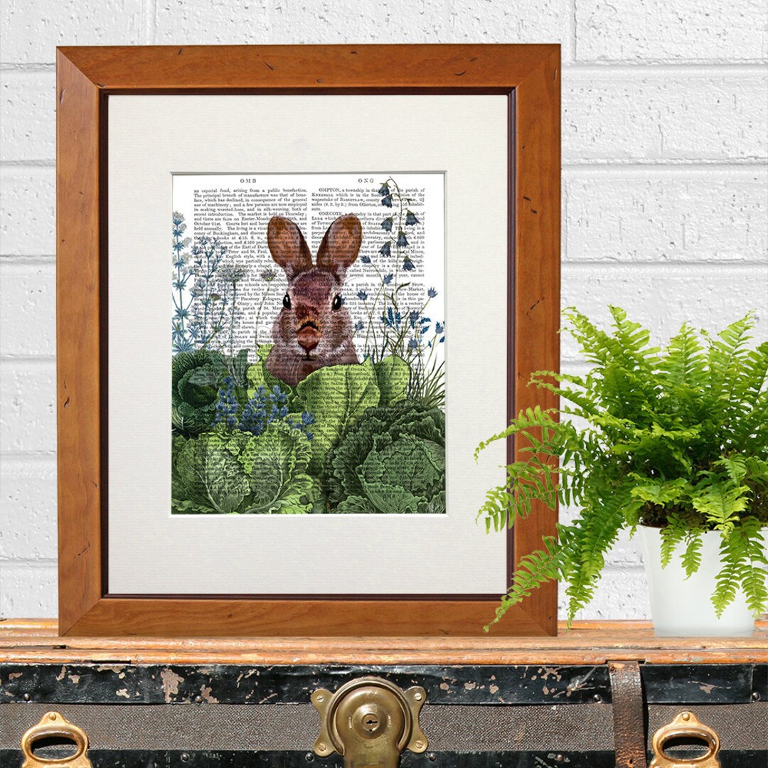 Nature Lover Gift - Cabbage Patch Rabbit 6 - Kitchen Decor Wall Wall ...