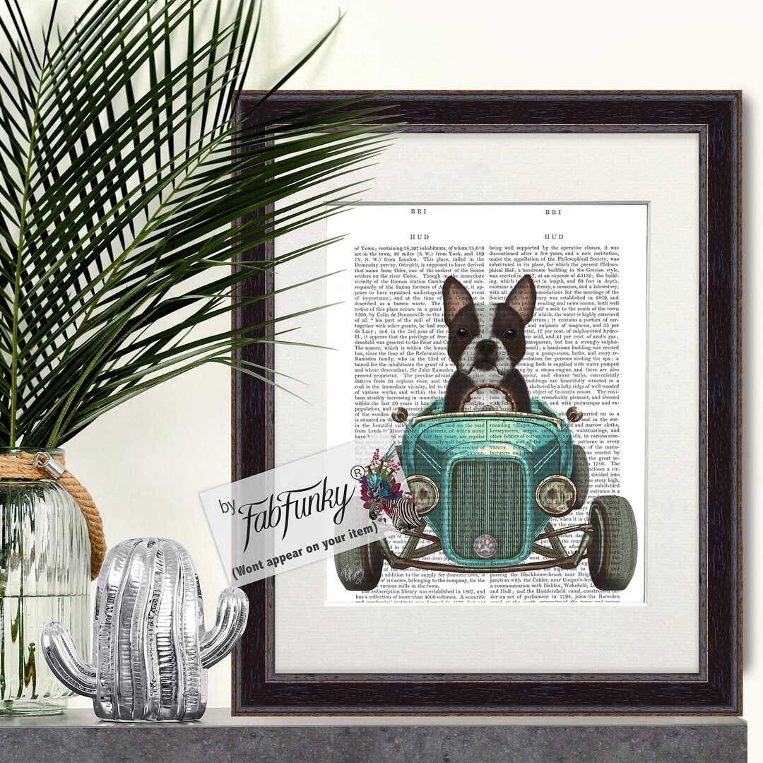 Boston Terrier Dog Art Print in Hot Rod Car, Auto Shop Poster, Funny ...