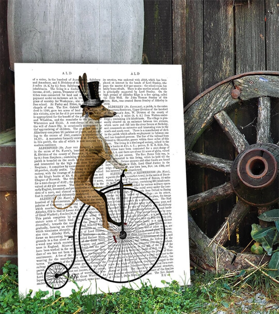 Greyhound Dog on Penny Farthing - Black : Dog on Bike Dog on Bicycle ...