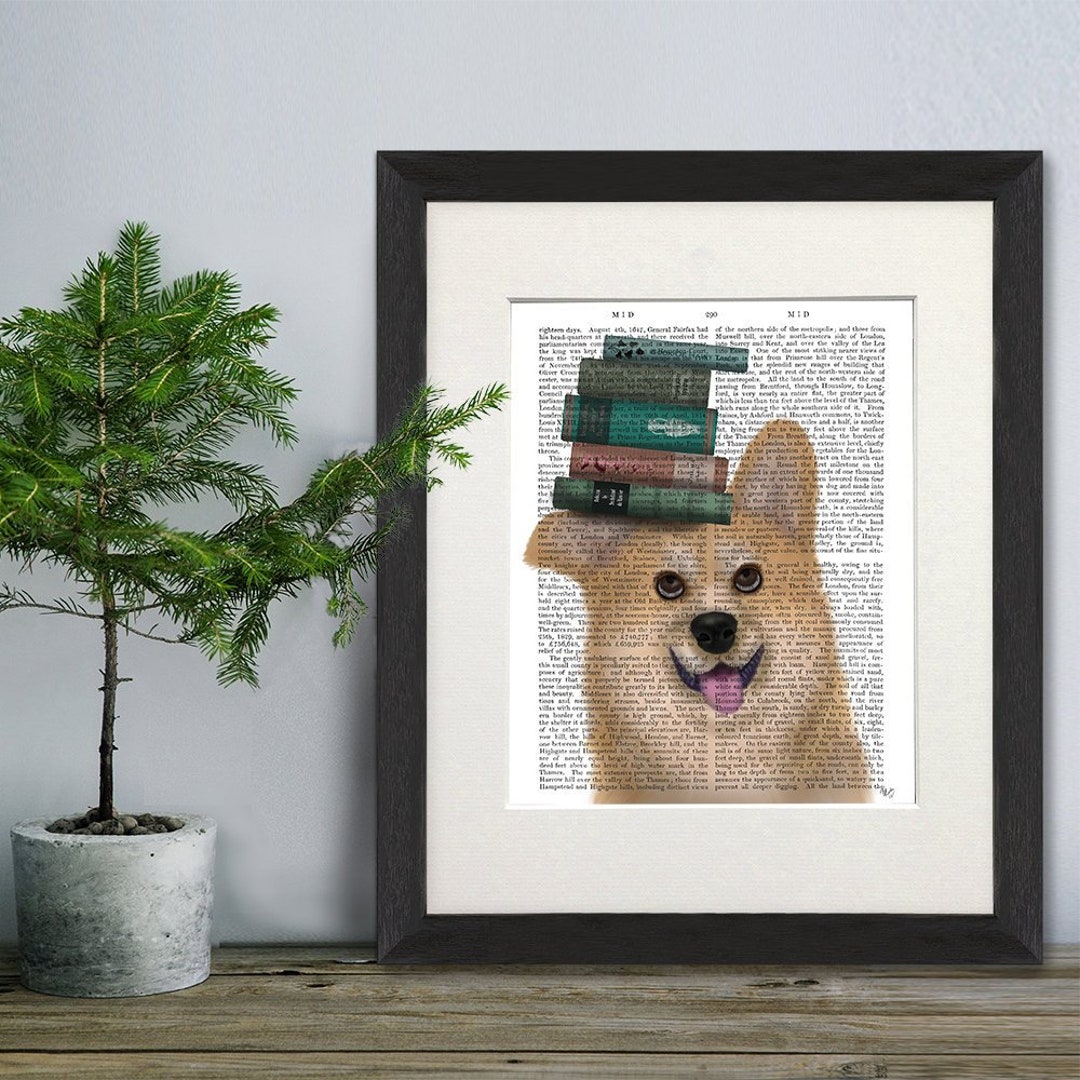 Pembroke Welsh Corgi - Corgi With Books - Corgi Dog Lover Corgi ...