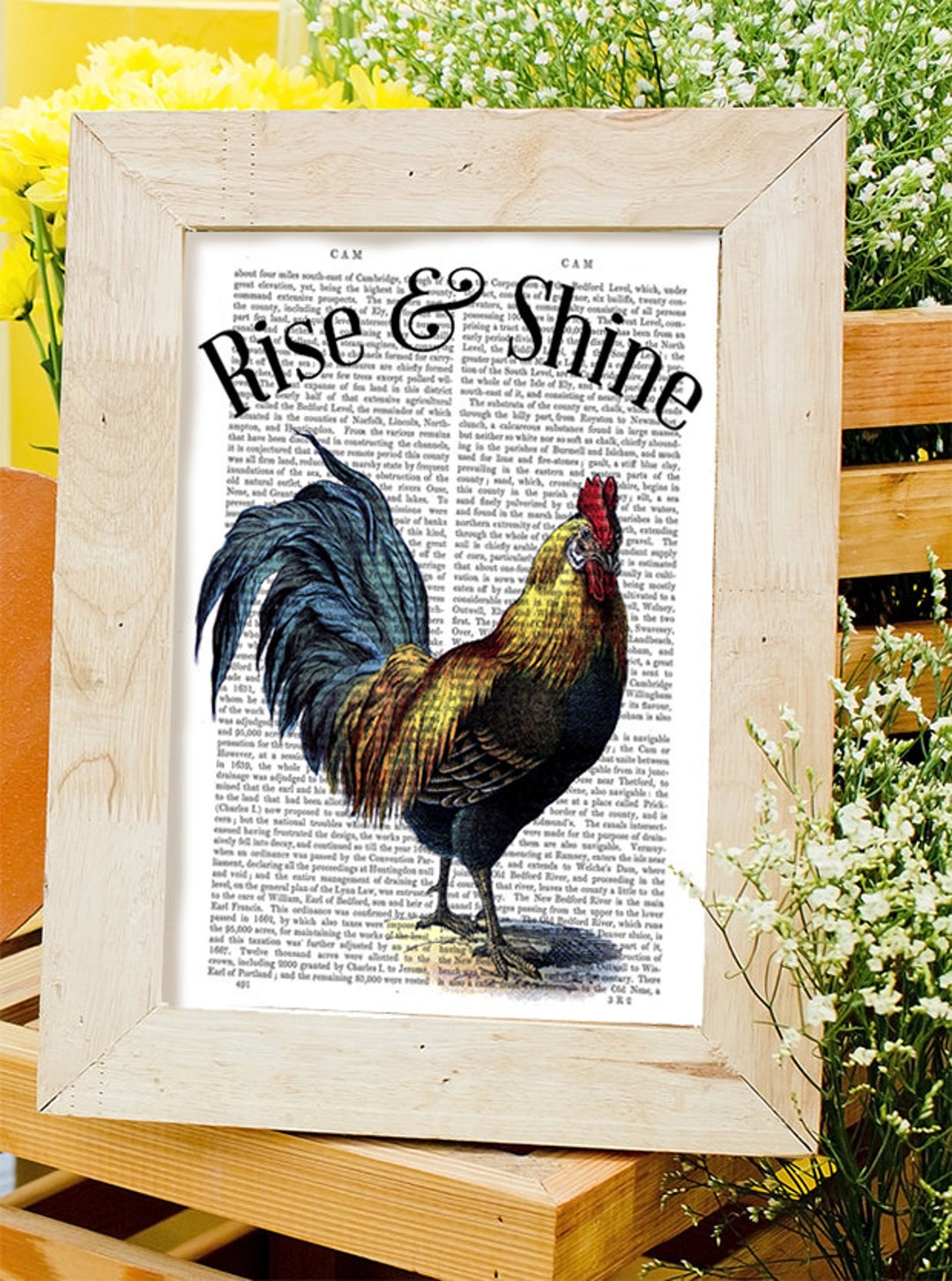 Early Riser Cockerell - Rooster Print Rooster Kitchen Decor Rooster ...
