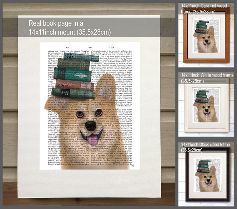 Pembroke Welsh corgi Corgi with books Corgi dog lover | Etsy