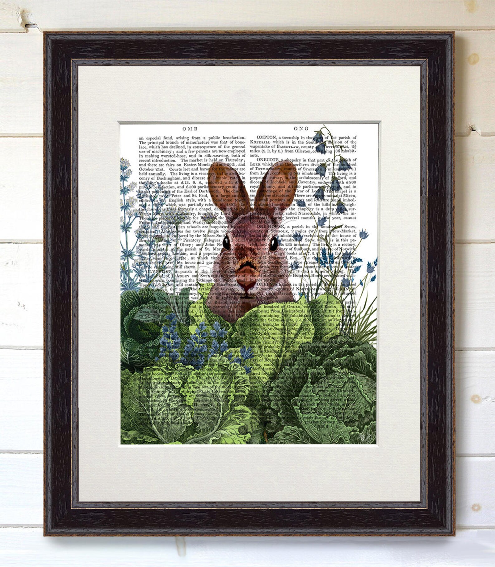 Bunny Wall Art Cabbage Patch Rabbit 6 Rabbit Print Nature - Etsy