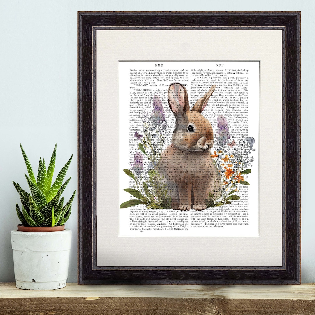 Bunny Rabbit Artwork Framed Illustration Canvas Gallery Wrap or Print ...