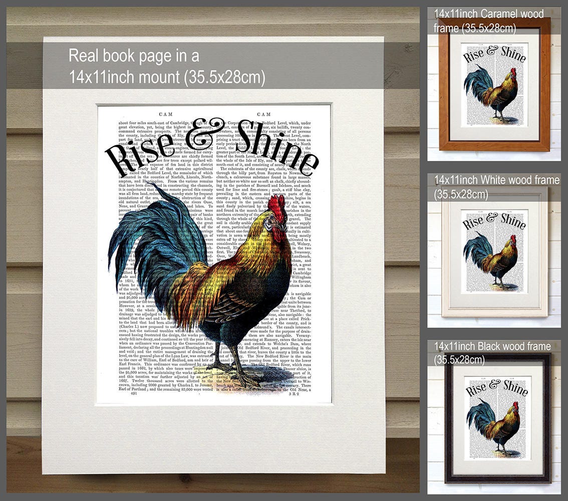Early Riser Cockerell Rooster Print Rooster Kitchen Decor | Etsy