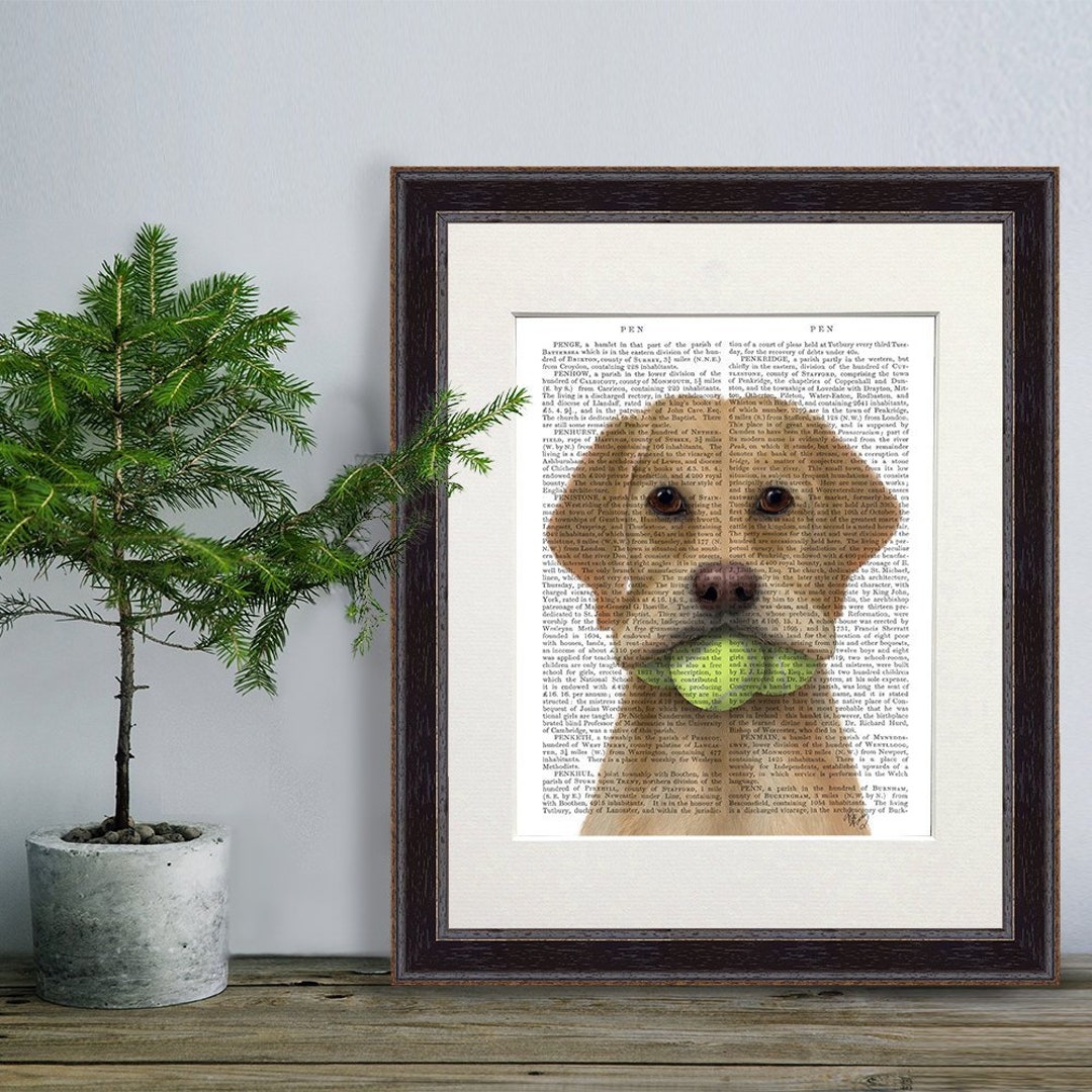 Yellow Labrador Gift - Yellow Labrador With Tennis Balls - Labrador ...