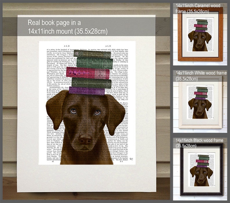 Brown Lab Decor Brown Labrador With Books Labrador - Etsy