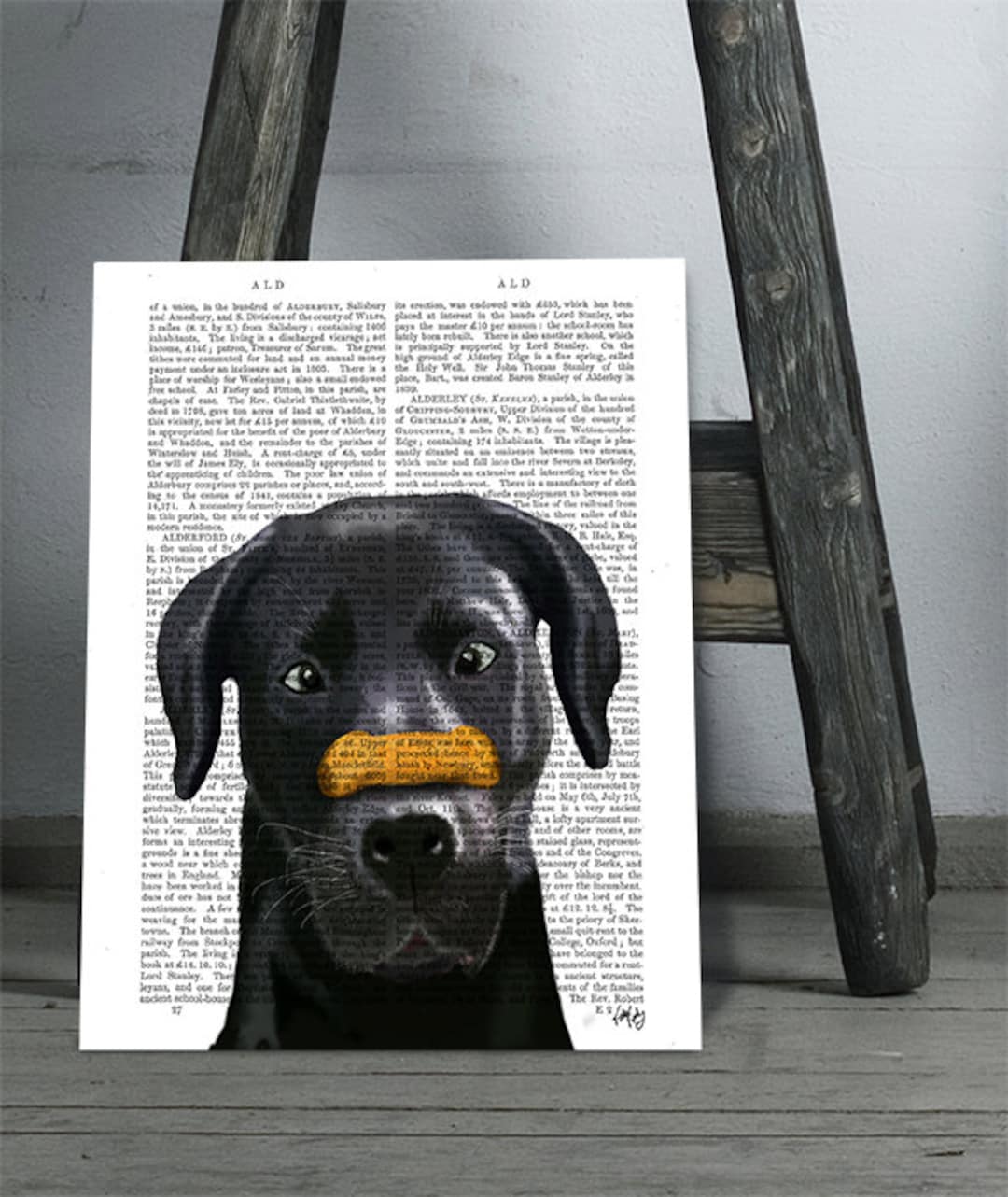Black Labrador Print Bone on Nose Black Lab Art Black Lab Print ...