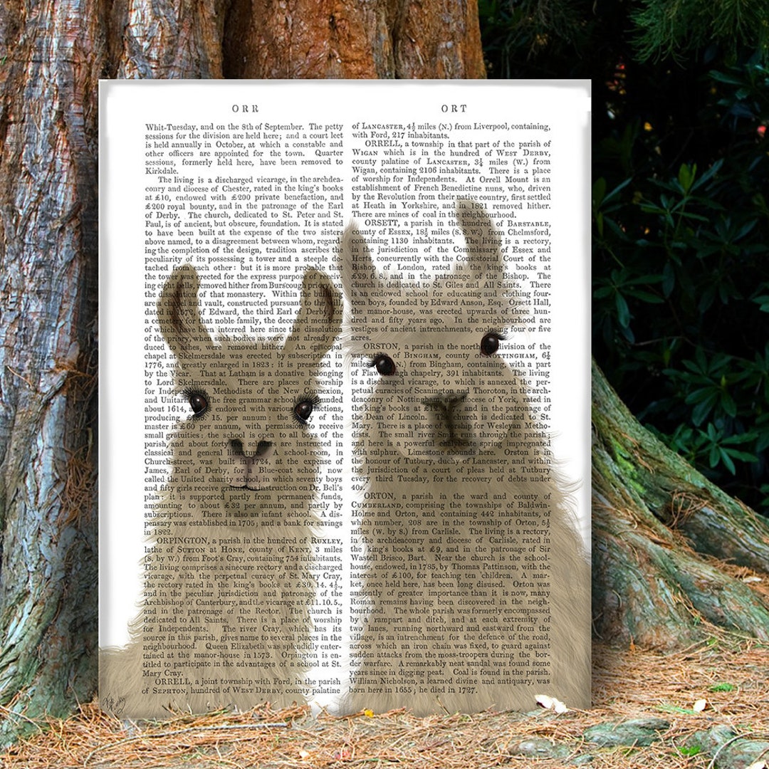 Unique Couple Gift - Llama Duo Looking at You - Valentines Gift Mr and ...