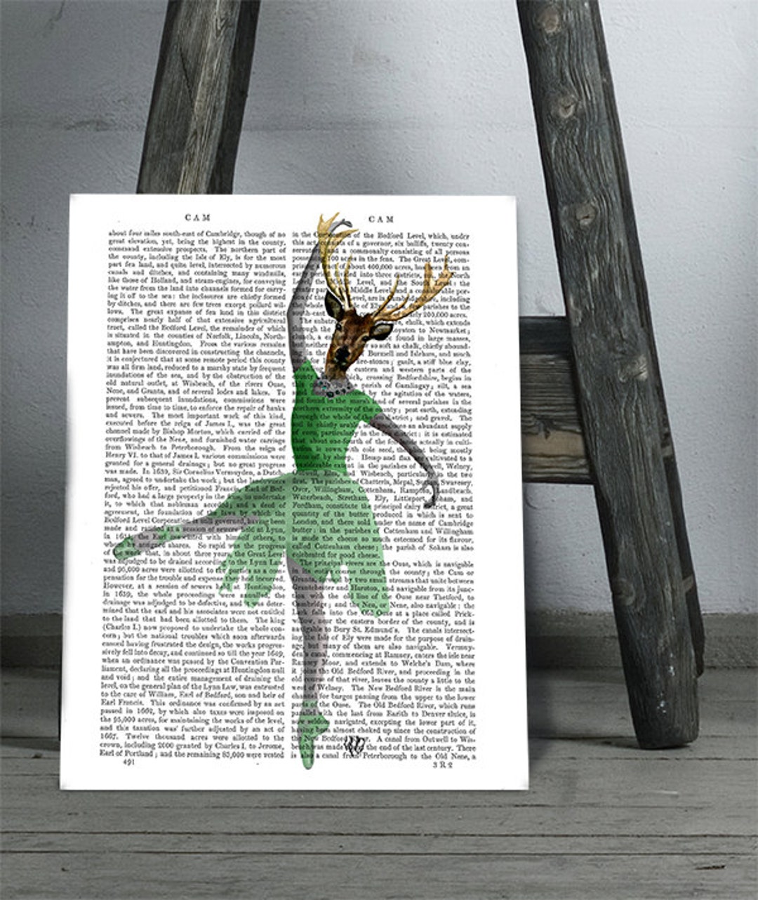 Ballerina Deer in Green - Ballet Art Print Ballet Gift Deer Print Deer ...